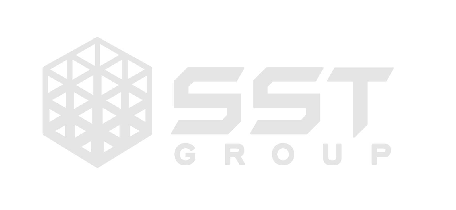 Company - SST Group